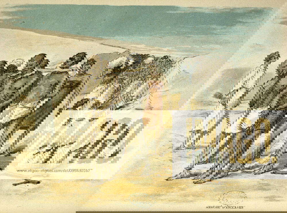 Slavery Slave march Drawing from the end of the 19th century Credit ...