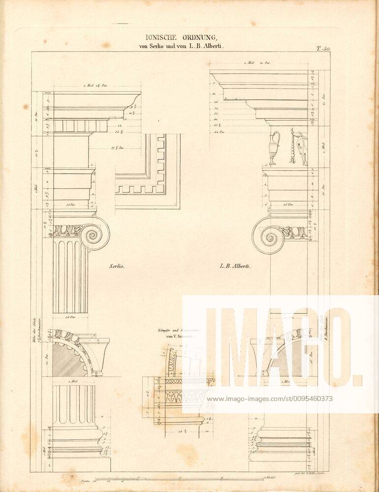 Ionic Order of Serlio and L. B. Alberti, Details on columns after ...