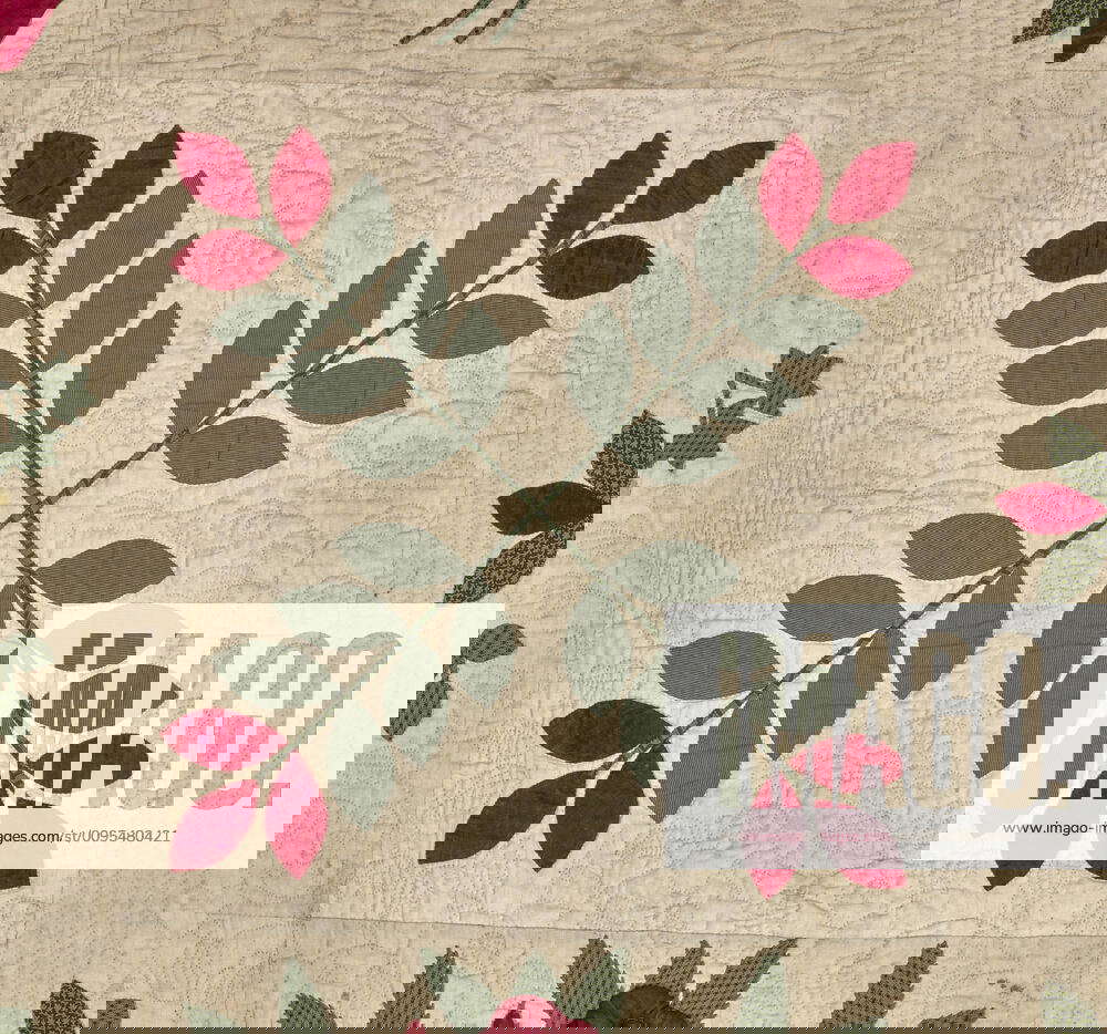 Eli Lilly Family Album Quilt, Unknown, 1847, cotton, appliqued ...