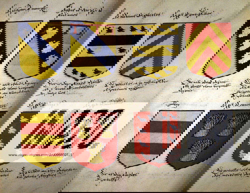 Heraldic Middle Ages Different coats of arms Illumination from a 17th ...