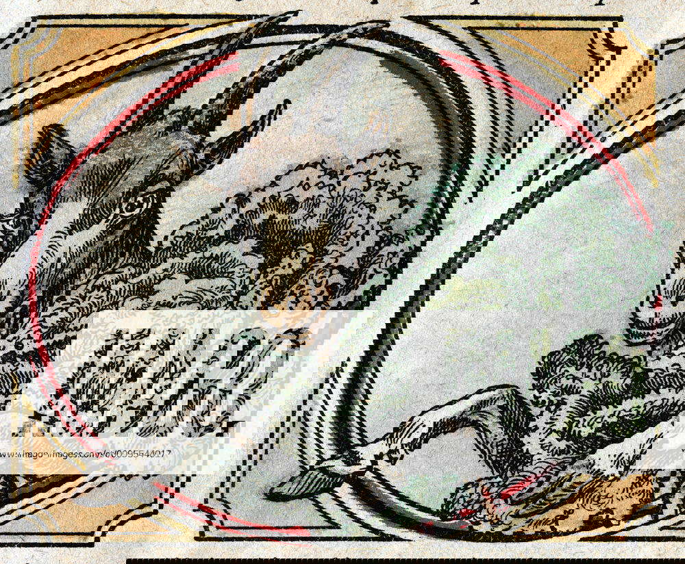 Biquette and cabbage Biquette Chanson enfantine Illustration popular ...