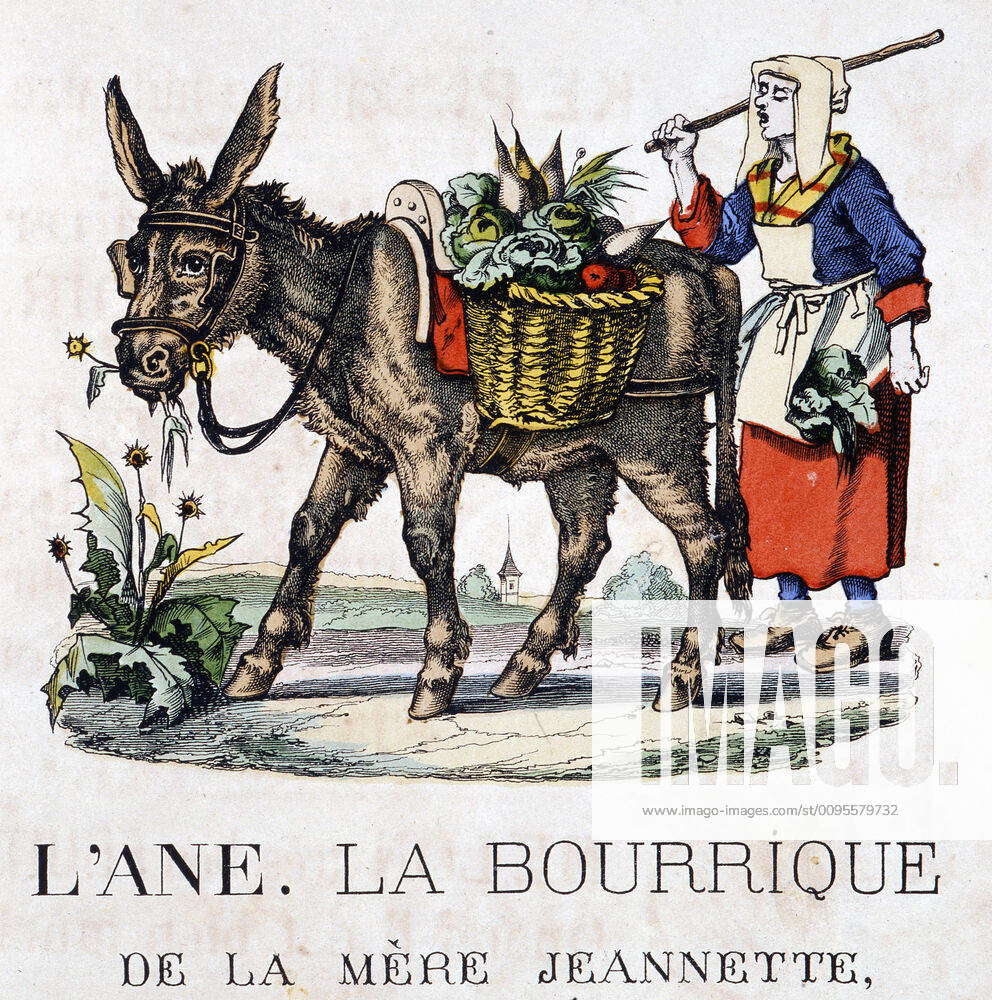 Ane L ane La bourrique de la mère Jeannette Engraving from the ...