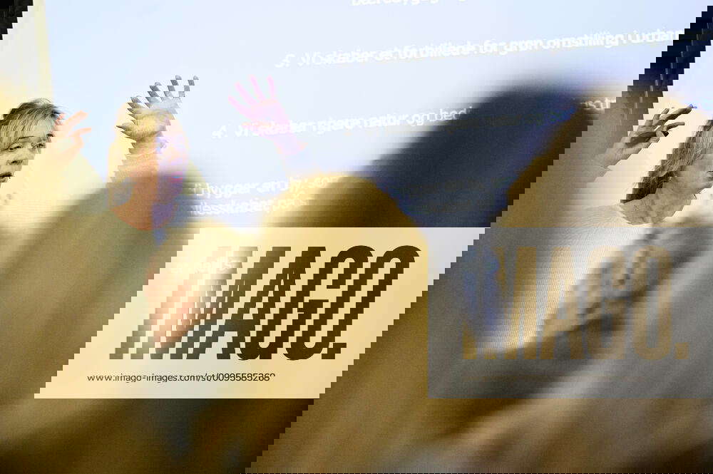 Architect Signe Kongebro from the architectural firm Henning Larsen ...