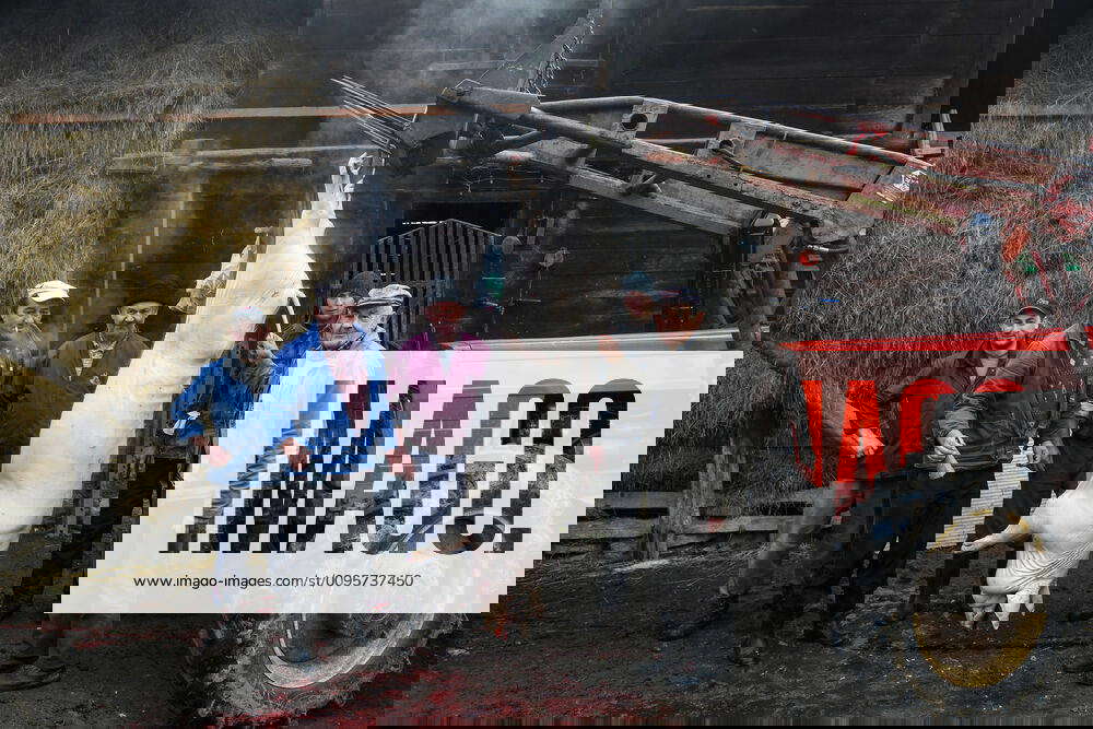 Traditional pig slaughter in Croatia A butchers poses to a photographer ...