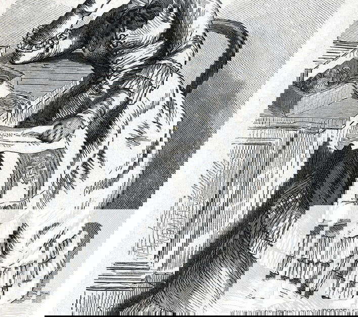 Emile ZOLA Works Therese Raquin Illustration d Horace CASTELLI 1825 ...