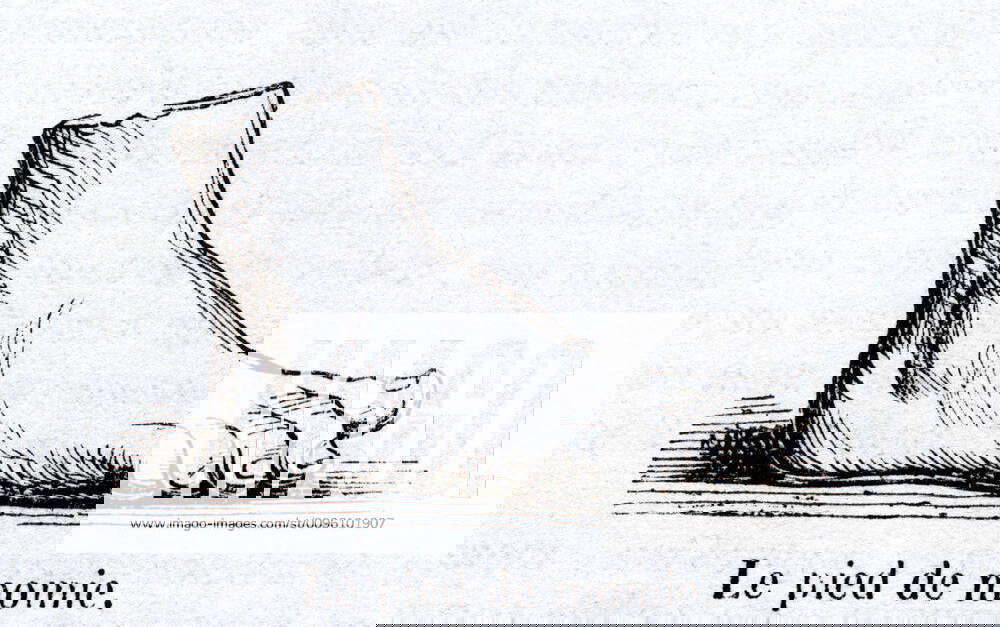 Theophile GAUTIER Oeuvres Le pied de momie Anonymous illustration for ...