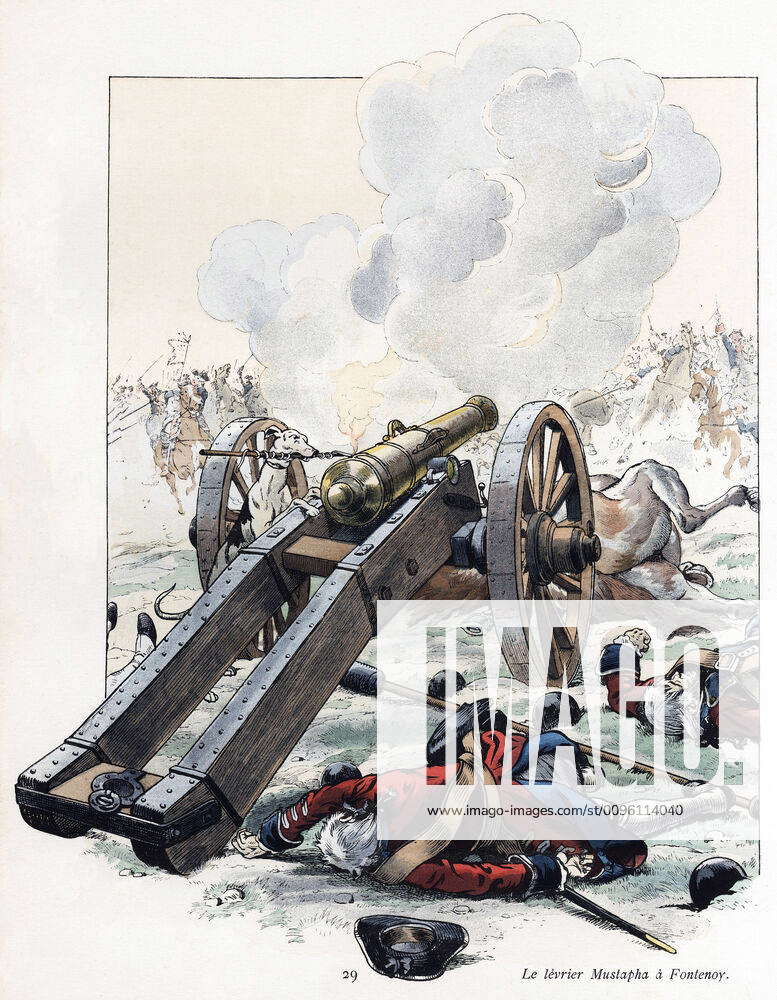 CELEBRATED DOG Mustapha, the English greyhound, sets fire to the gun in ...