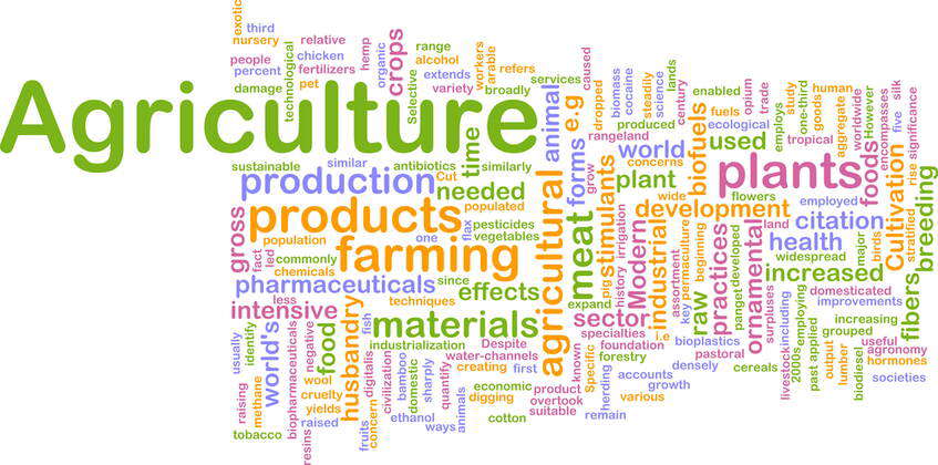 Agriculture word cloud Word cloud concept illustration of agriculture