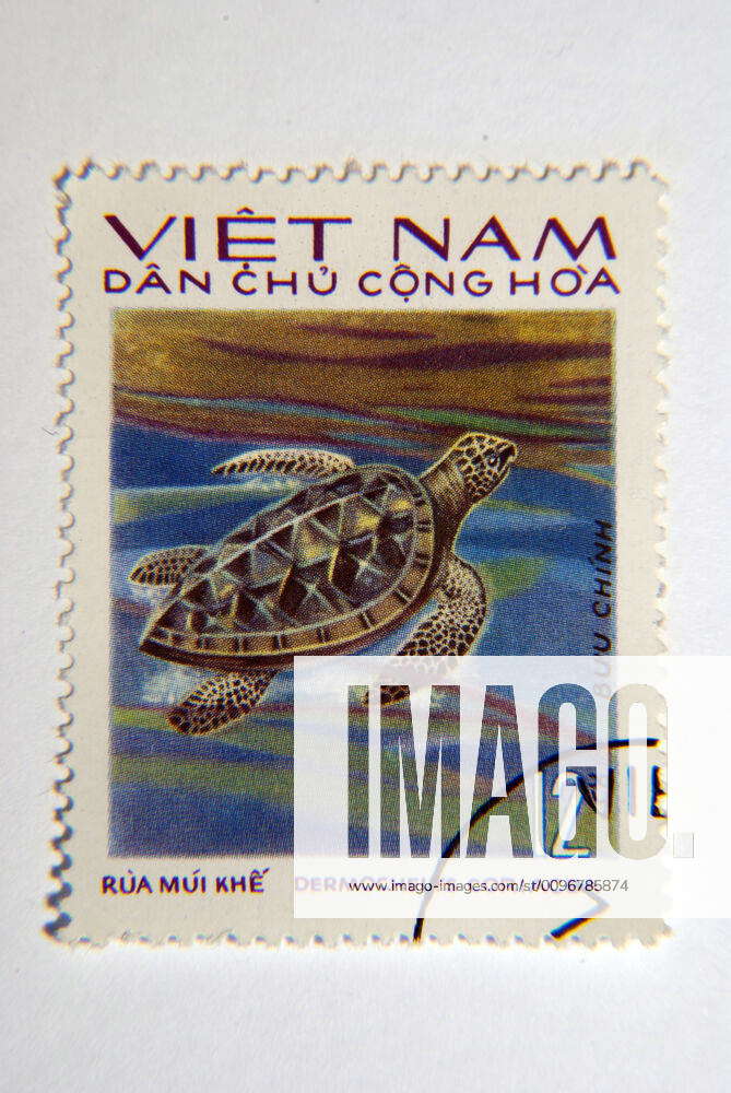 Vietnamese Turtle Postage Stamp North Vietnam Circa 1975 A Postage ...