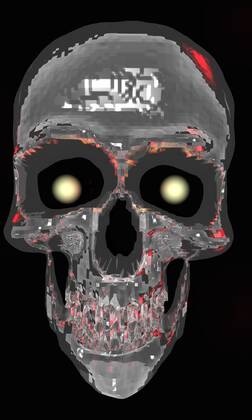 Digital Skull An illustrated skull with a hot, digital like appearance