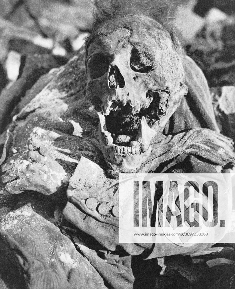 Decomposing corpse of man with swastika arm band in Dresden, Germany ...