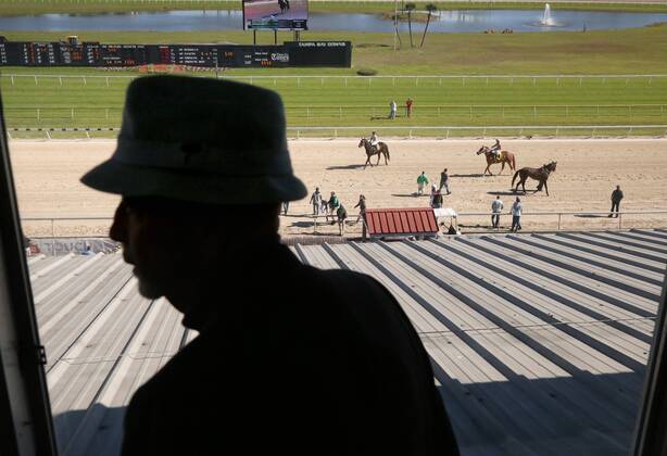 Tampa, Florida, USA: Association steward and Tampa icon Charlie Miranda ...