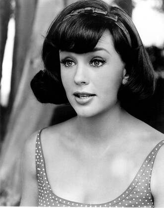 Joan Staley Stock Photos – High-Quality Images for Licensing | IMAGO