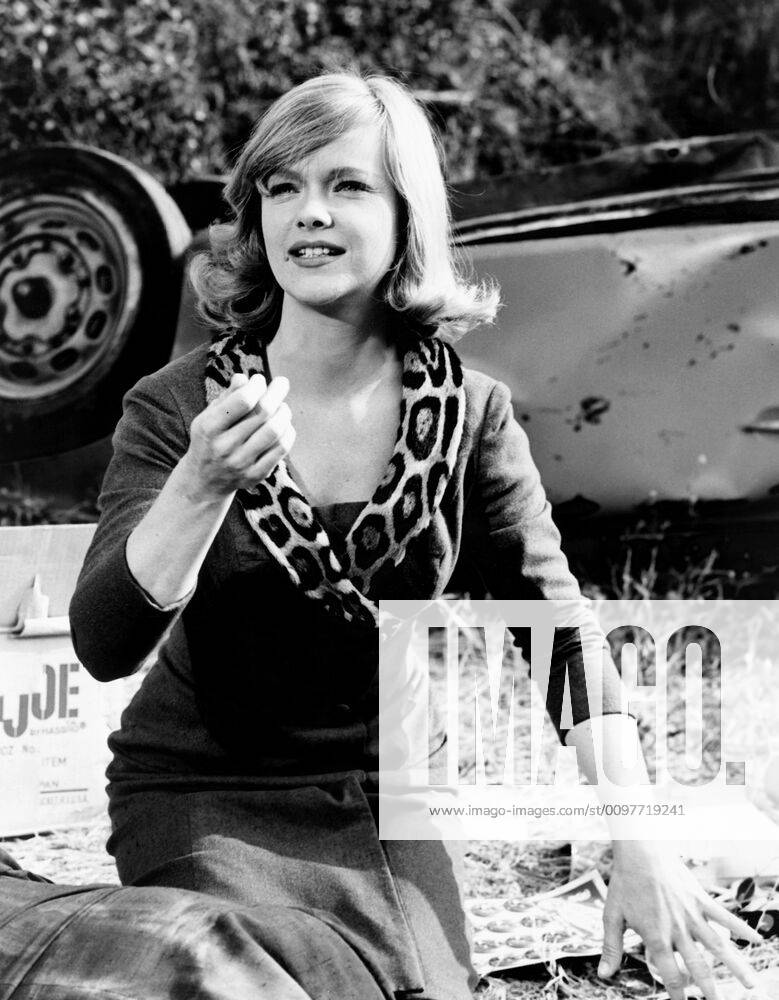 THE SATAN BUG, Anne Francis, 1965 Courtesy Everett Collection !ACHTUNG ...