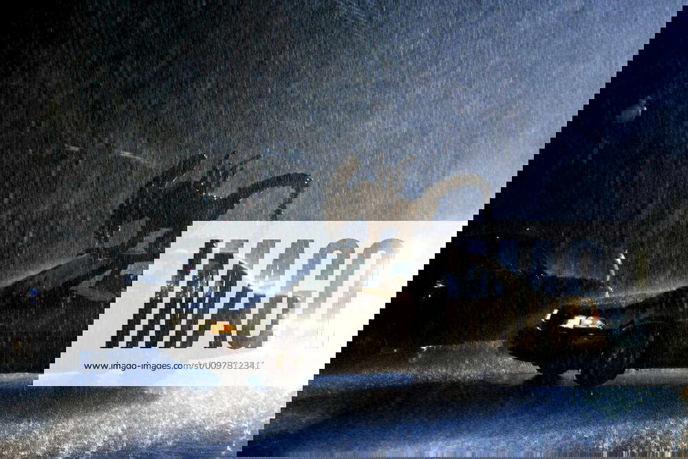 AVPR: ALIEN VS. PREDATOR- REQUIEM, 2007. TM and Copyright 20th Century ...