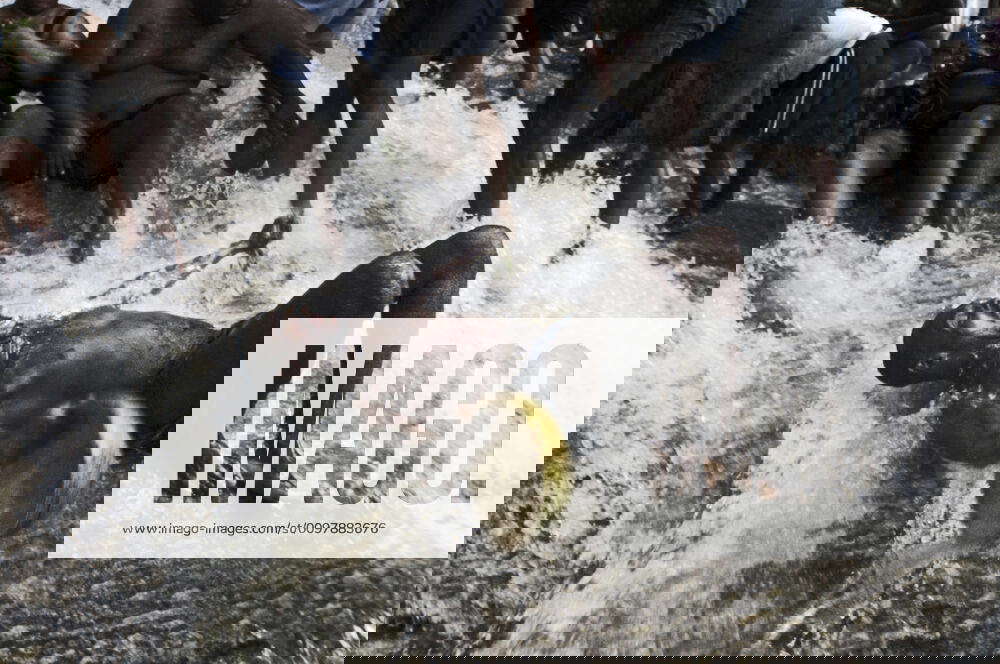 Voodoo Festival in Saut d Eau, Haiti. Person in trance, with eyes and ...