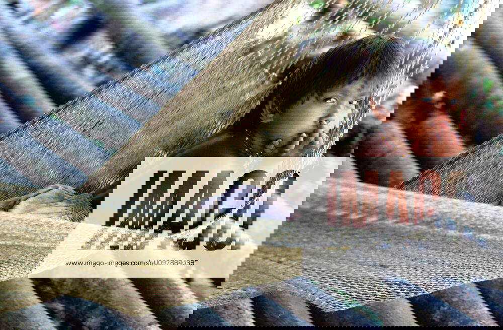 A Warao child in a hammock in the Orinoco delta. The Warao are an ...