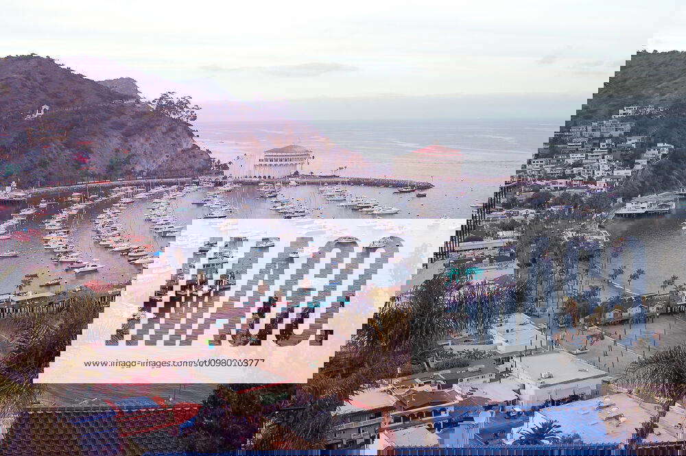 Catalina Island an aerial view of catalina island from a hill Y