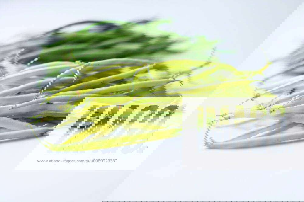 Shot of fresh green beans from the garden fresh green beans from the ...