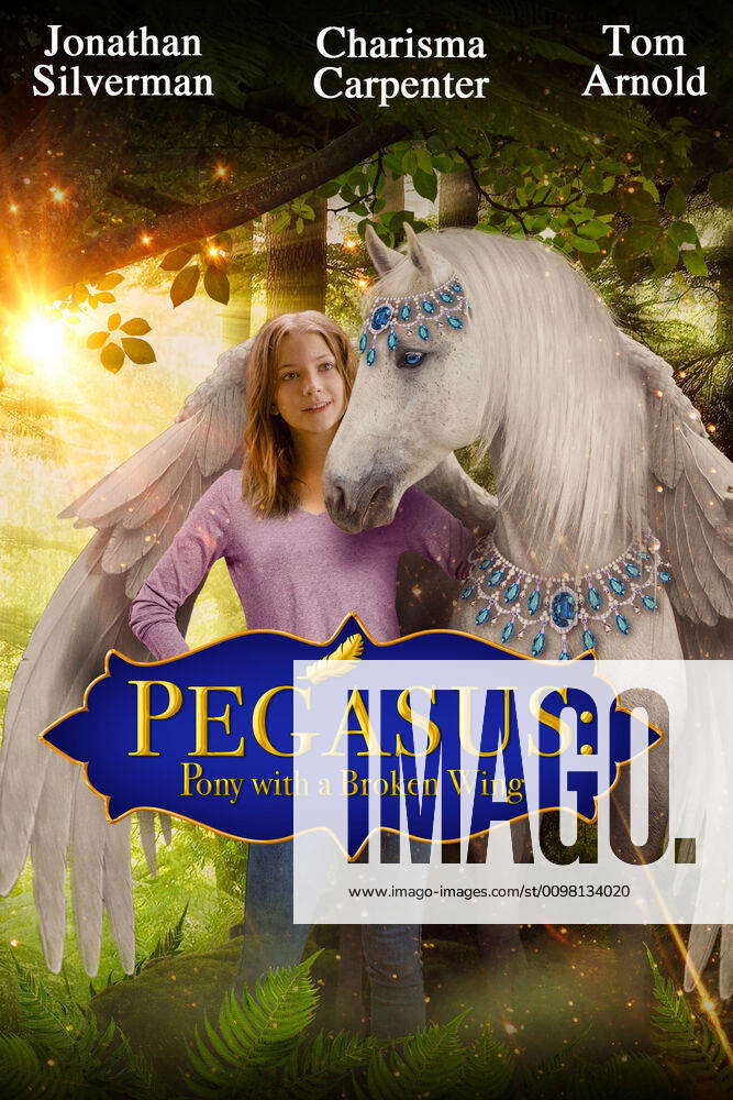 PEGASUS: PONY WITH A BROKEN WING, poster, Eliza Jarrett, 2019 ...