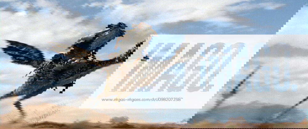 RANGO, Spoons, 2011. Paramount Pictures Courtesy Everett Collection ...