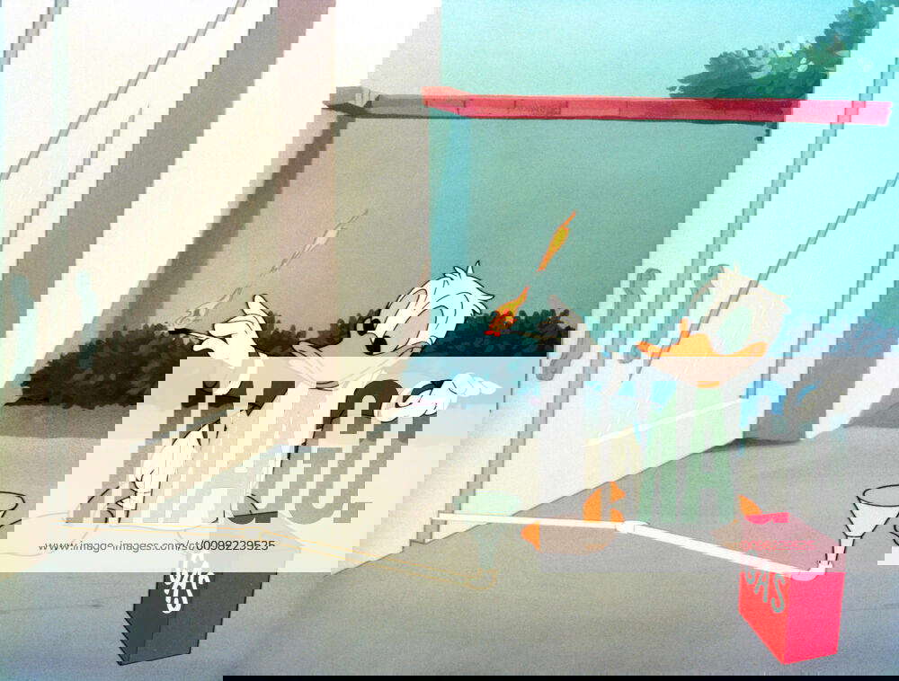 UNCLE DONALD S ANTS, Donald Duck, 1952. Courtesy Everett Collection ...