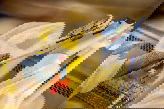 Breda, Netherlands: A lab technician holding a test tube that contains ...