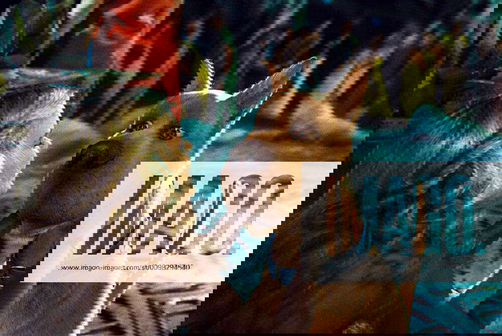 Scooby Doo 2002 Scooby