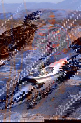 TORQUE, Ice Cube, 2004, Warner Brothers courtesy Everett Collection ...