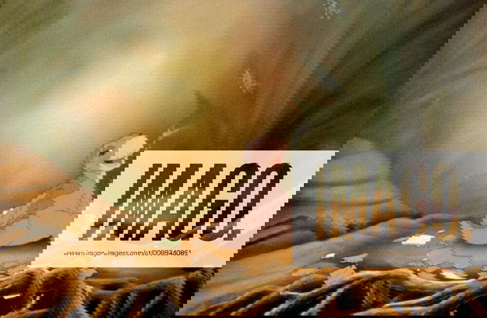 Baby Little Foot Land Before Time