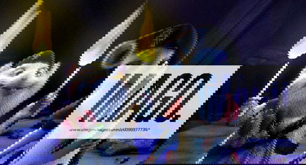 VALIANT, Rollo, Charles De Girl, 2005, (c) Walt Disney courtesy Everett ...