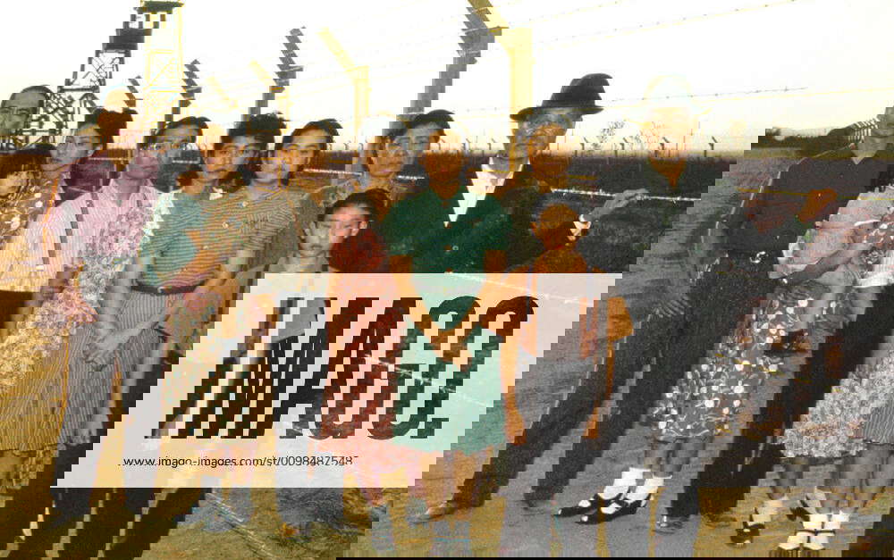 COME SEE THE PARADISE, Tamlyn Tomita, Sab Shimono, Shizuko Hoshi, Stan ...