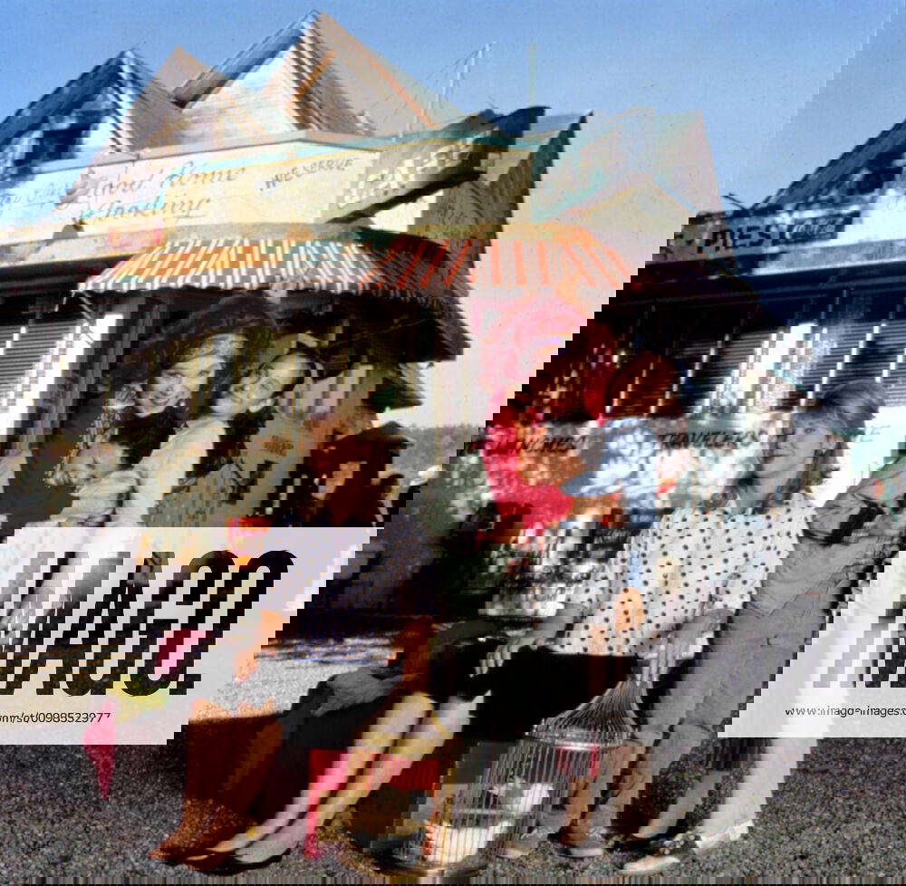 WAITING FOR THE LIGHT, Teri Garr, Shirley MacLaine, Colin Baumgartner ...