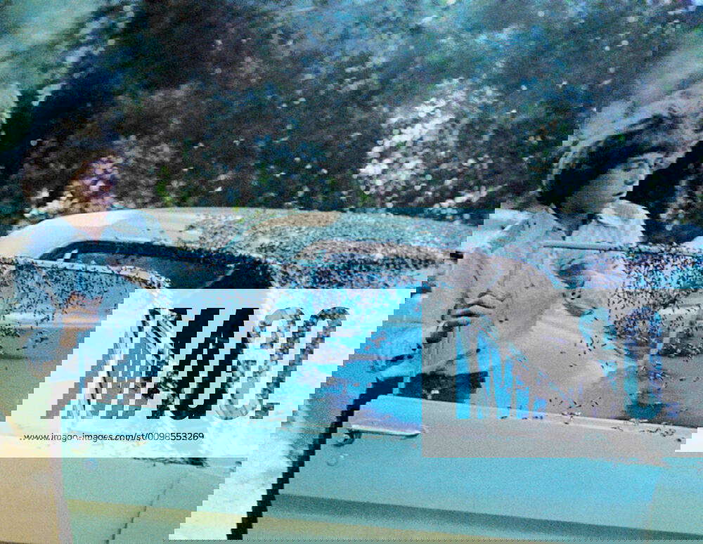 THE SWARM, Christian Juttner, 1978, Warner Brothers courtesy Everett ...