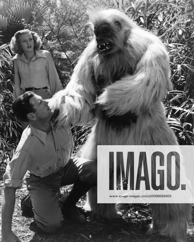 WHITE PONGO, Maris Wrixon (back left), Richard Fraser (front left), Ray ...