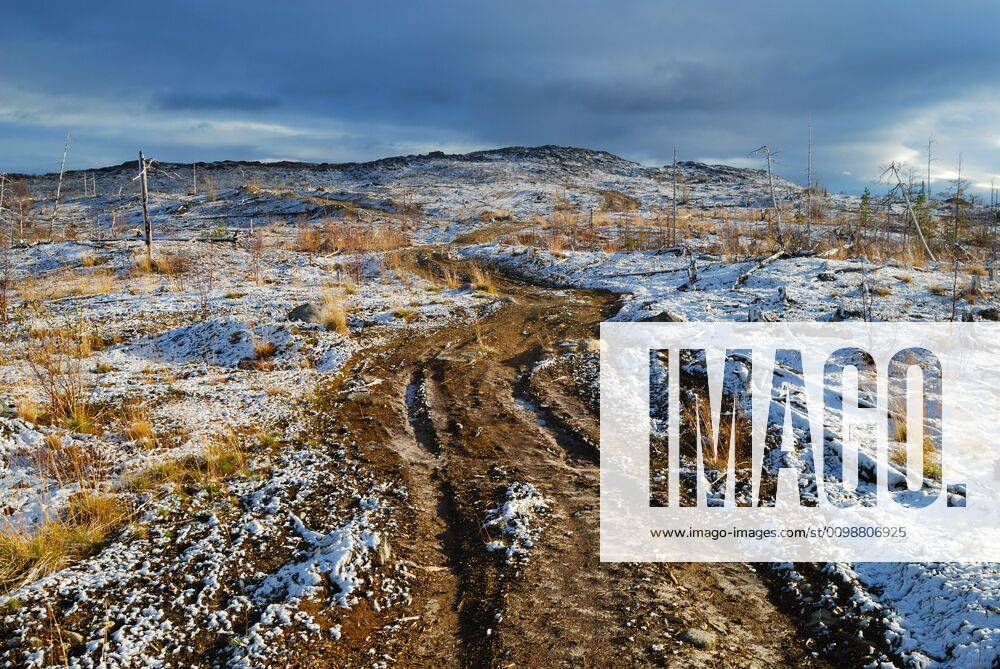 Road on the first snow Road on the first snow. Late autumn