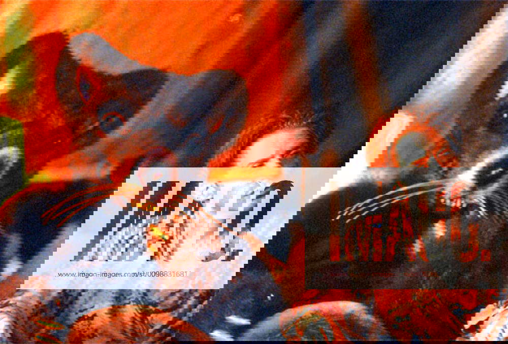 PARTY MONSTER, Seth Green, 2003, (c) Strand Releasing courtesy Everett ...