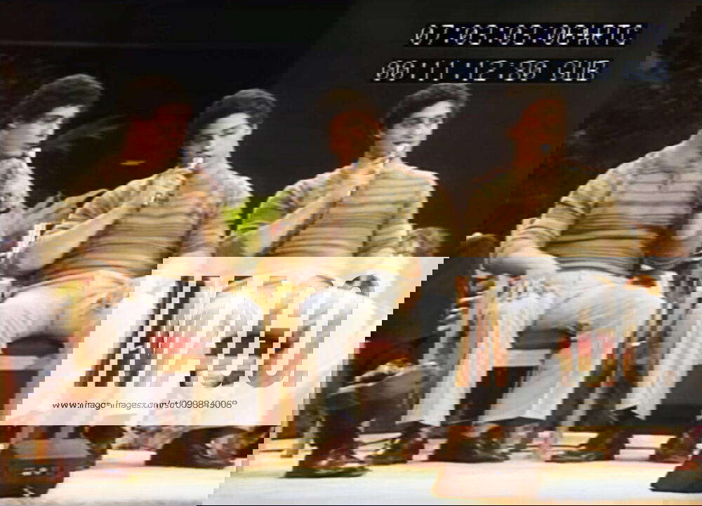 THREE IDENTICAL STRANGERS, l-r: David Kellman, Robert Shafran, Eddy ...