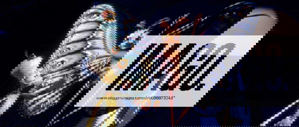 A BUG S LIFE, Manny, Gypsy, 1998, Buena Vista Pictures courtesy Everett ...