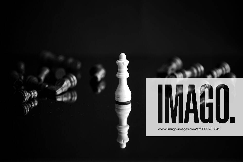 Board Game Zagreb at James Velarde blog