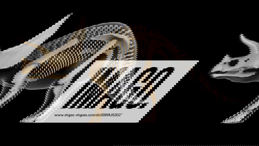 Skeletal system of a Triceratops dinosaur, x-ray side view
