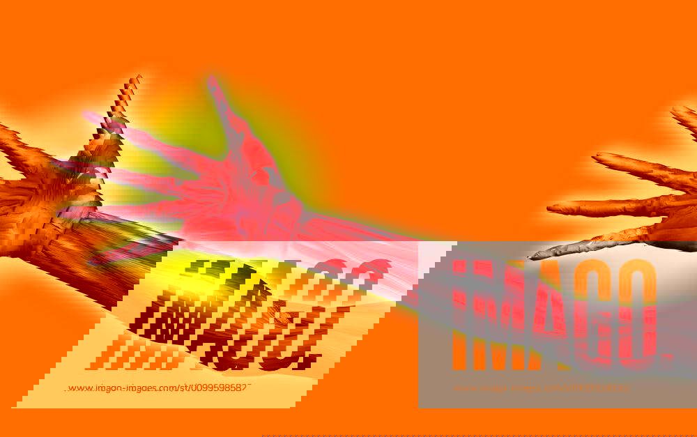 Muscle Hand A close up of a skinless arm for medical or Halloween concepts