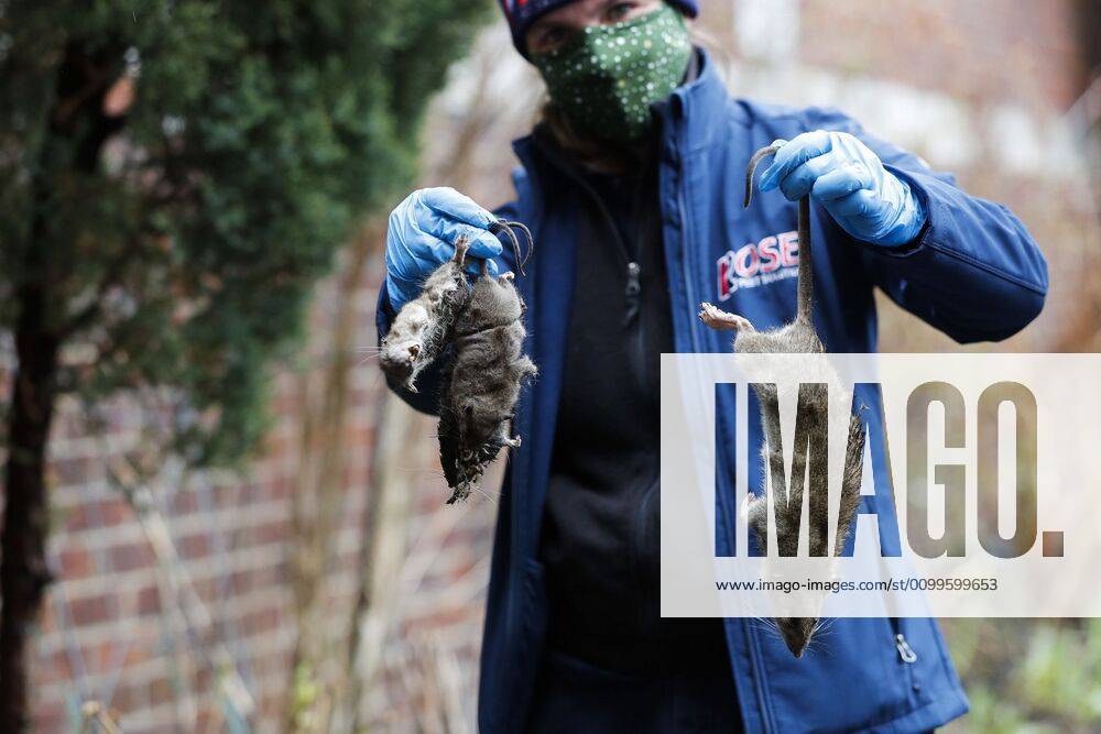 April 22, 2020, USA: Lisa Wiedemann, service manager with Rose Pest ...