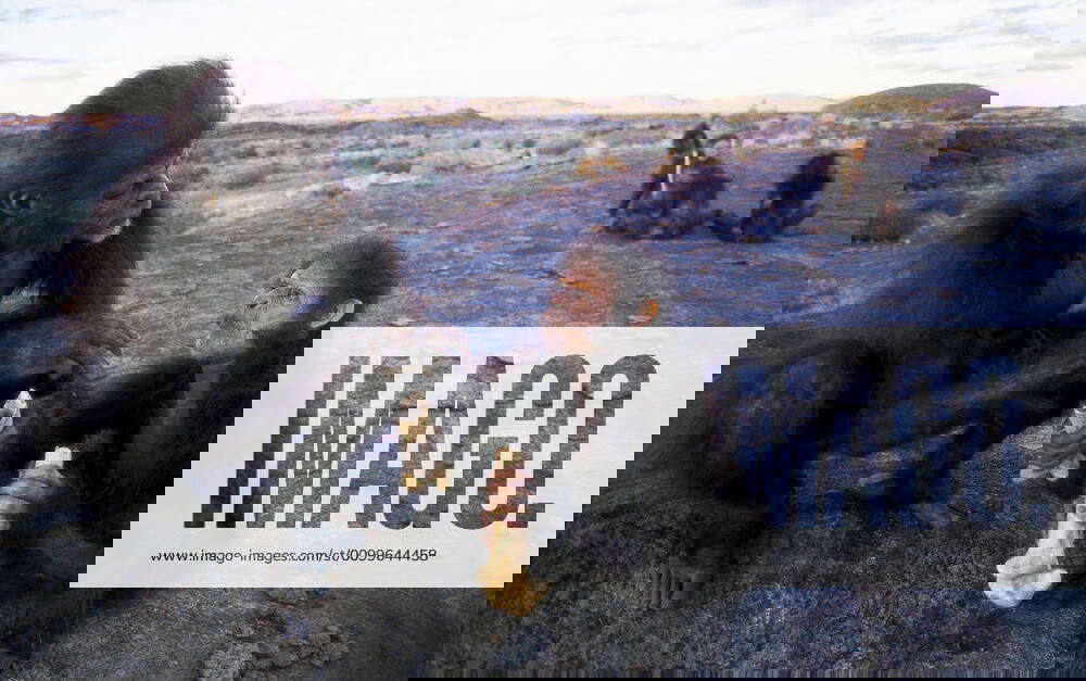 WALKING WITH CAVEMEN, Homo Habilis, 2003, BBC Courtesy: Everett ...