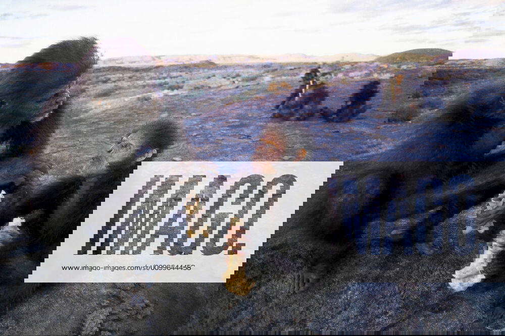 WALKING WITH CAVEMEN, Homo Habilis, 2003, BBC Courtesy: Everett ...