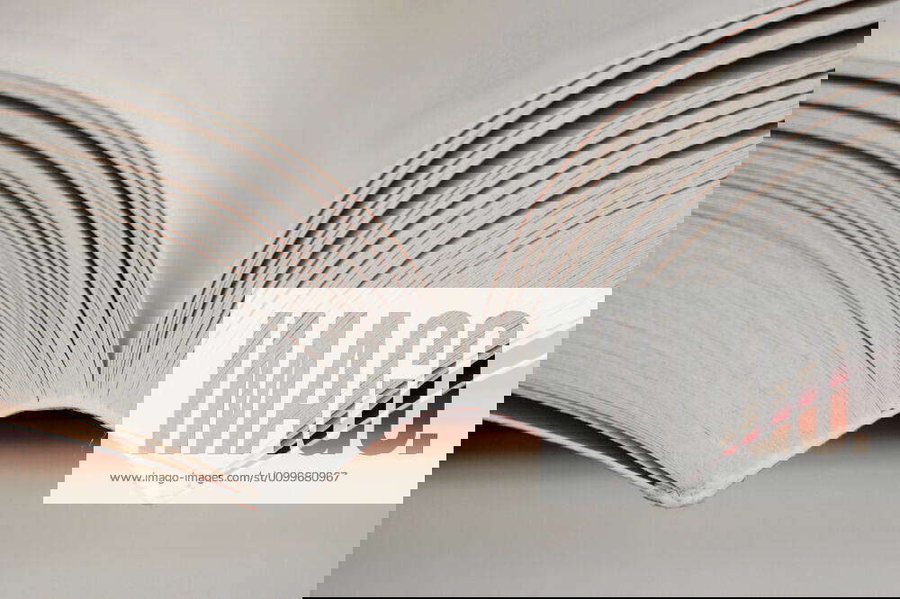 Between the Pages A close up shot of pages in a book Y