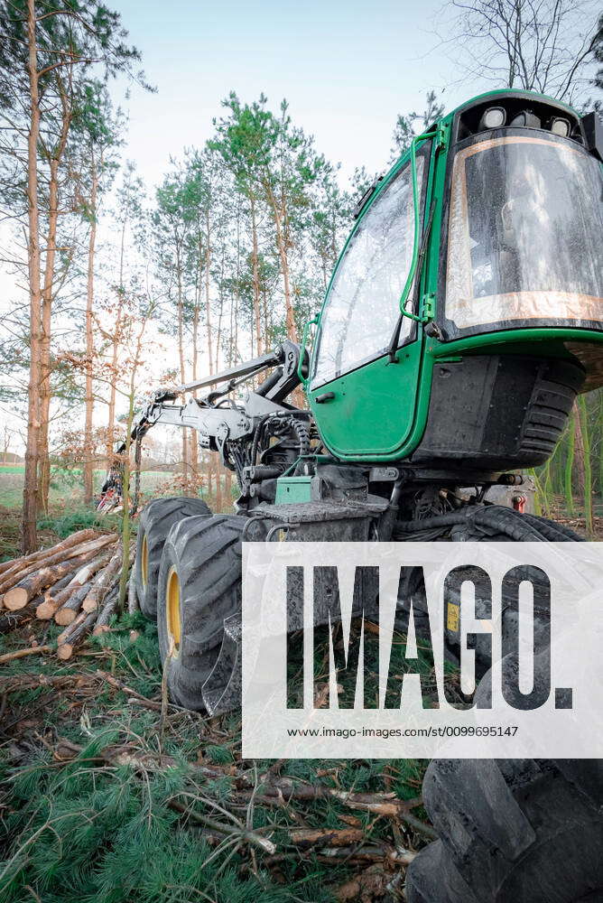 Modern forestry Harvester thinning a pine tree Modern forestry ...