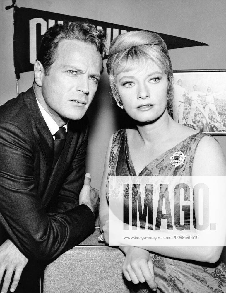 Jason Evers Hawaii Five O The Latest: Beyoncé Wins Album Of The Year