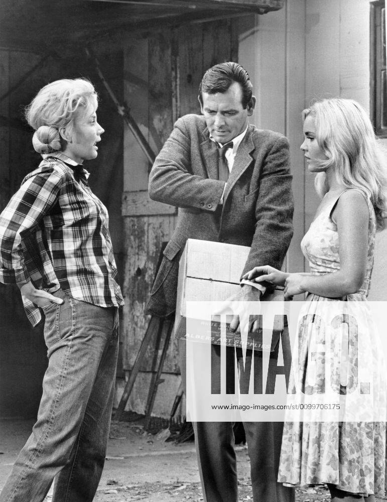 THE FUGITIVE, Elizabeth Macrae, David Janssen, Tuesday Weld, Dark ...