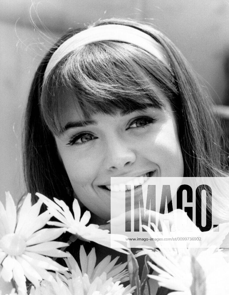 TO ROME WITH LOVE, Joyce Menges, 1969-71 Courtesy Everett Collection ...